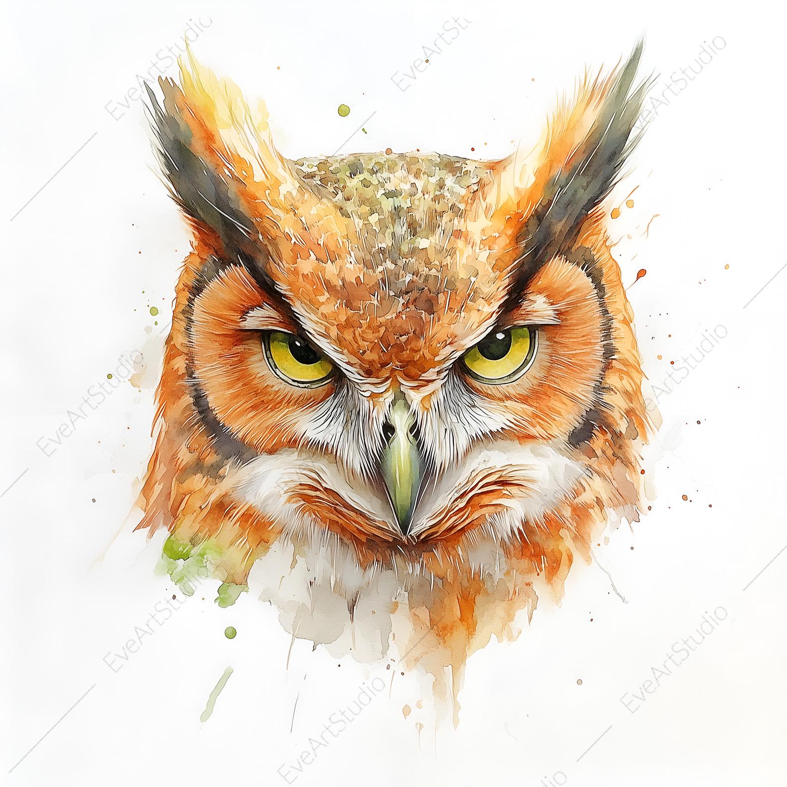 10 Owl Cliparts, Owl Bird Watercolor Clipart, Printable Watercolor ...