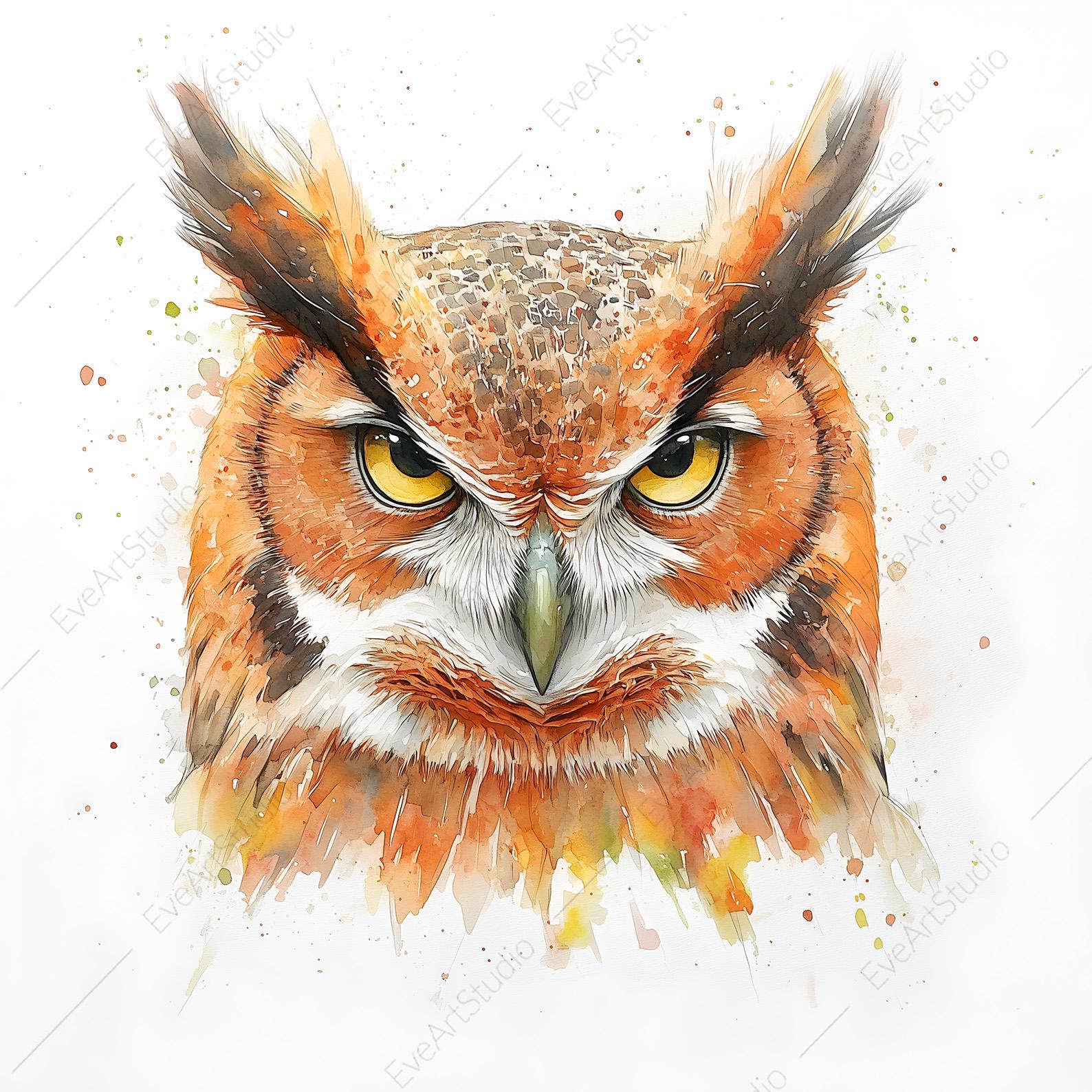 10 Owl Cliparts, Owl Bird Watercolor Clipart, Printable Watercolor ...