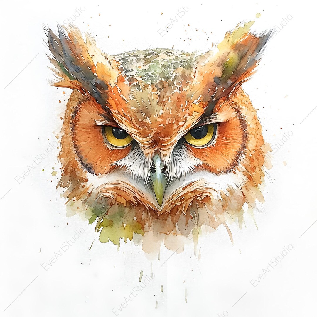 10 Owl Cliparts, Owl Bird Watercolor Clipart, Printable Watercolor ...