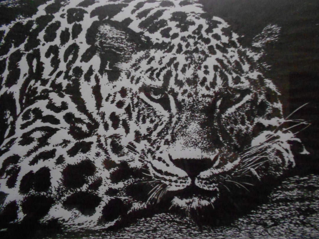 Custom B&w OR Color Pen-and-ink Drawings - Etsy