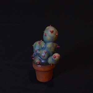 Mimbulus Mimbletonia (mini) - Etsy