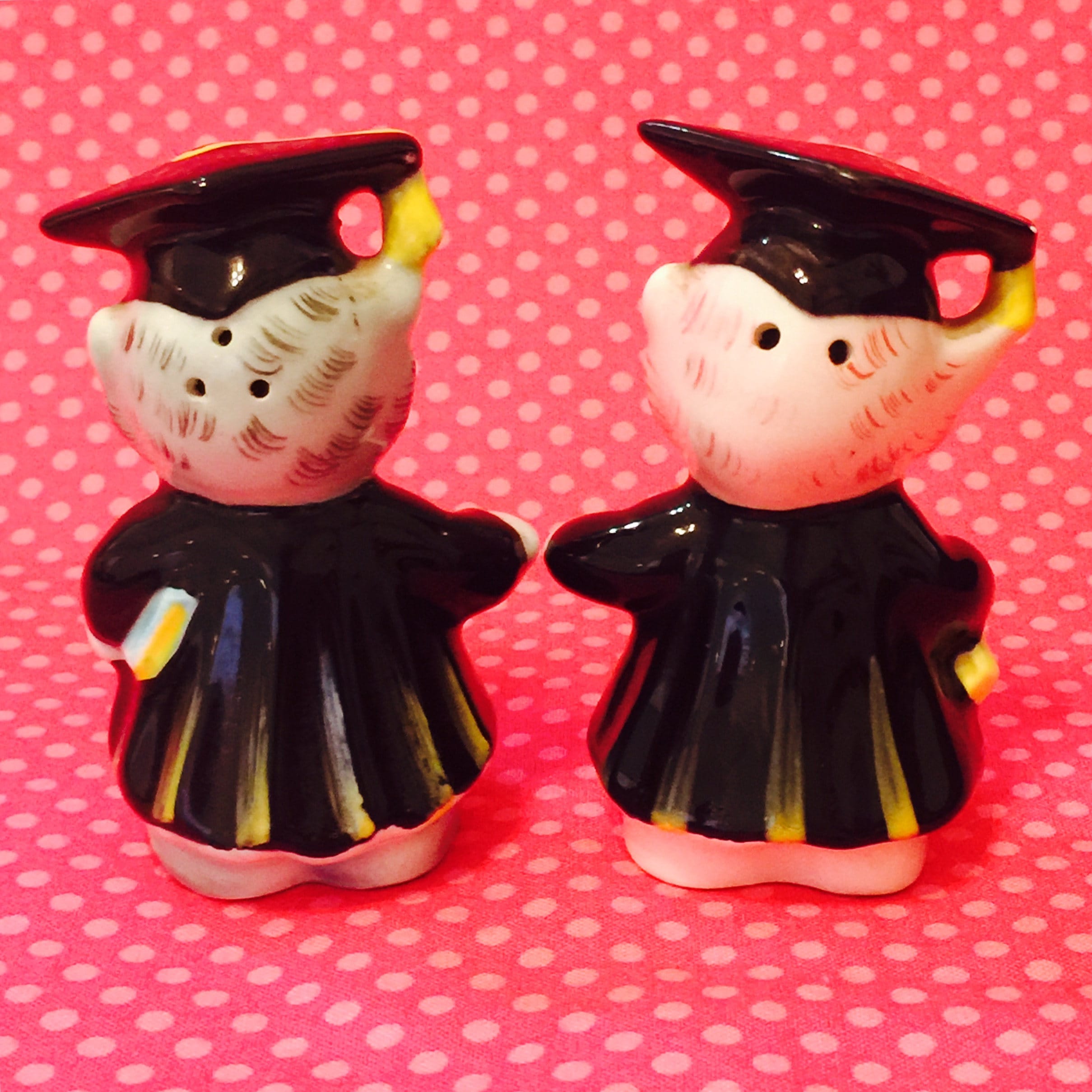 PY Anthropomorphic Graduating Kittens in Mortar Salt and | Etsy