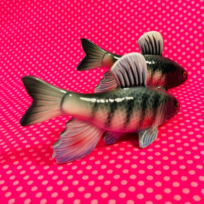 Fancy Trout Fish Salt and Pepper Shakers Made in Japan Circa | Etsy