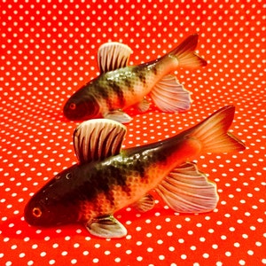 Fancy Trout Fish Salt and Pepper Shakers made in Japan circa | Etsy