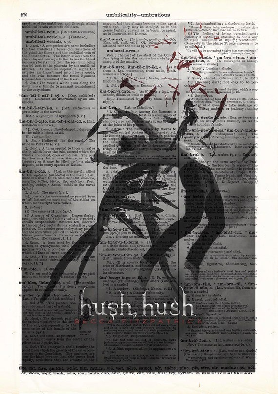 Hush Hush Book Cover
