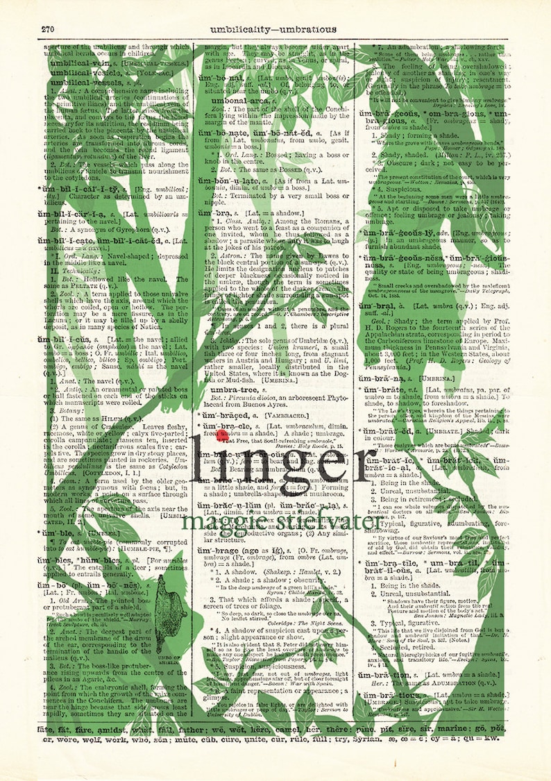 Linger by Maggie Stiefvater. Book Cover Art Print - Etsy