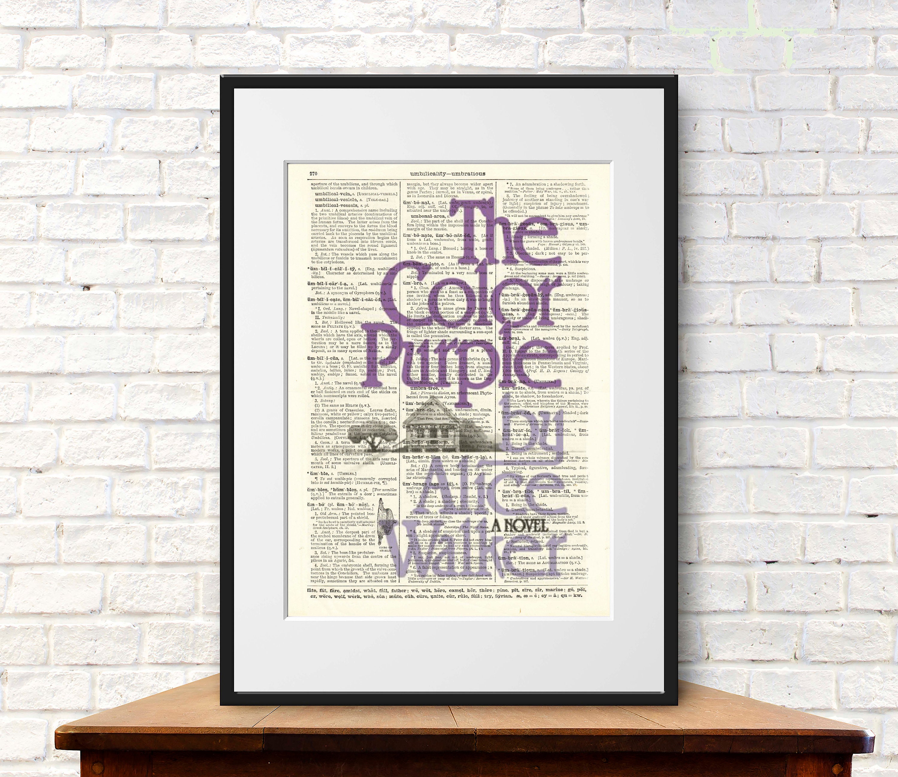 Alice Walker The Color Purple Book Cover