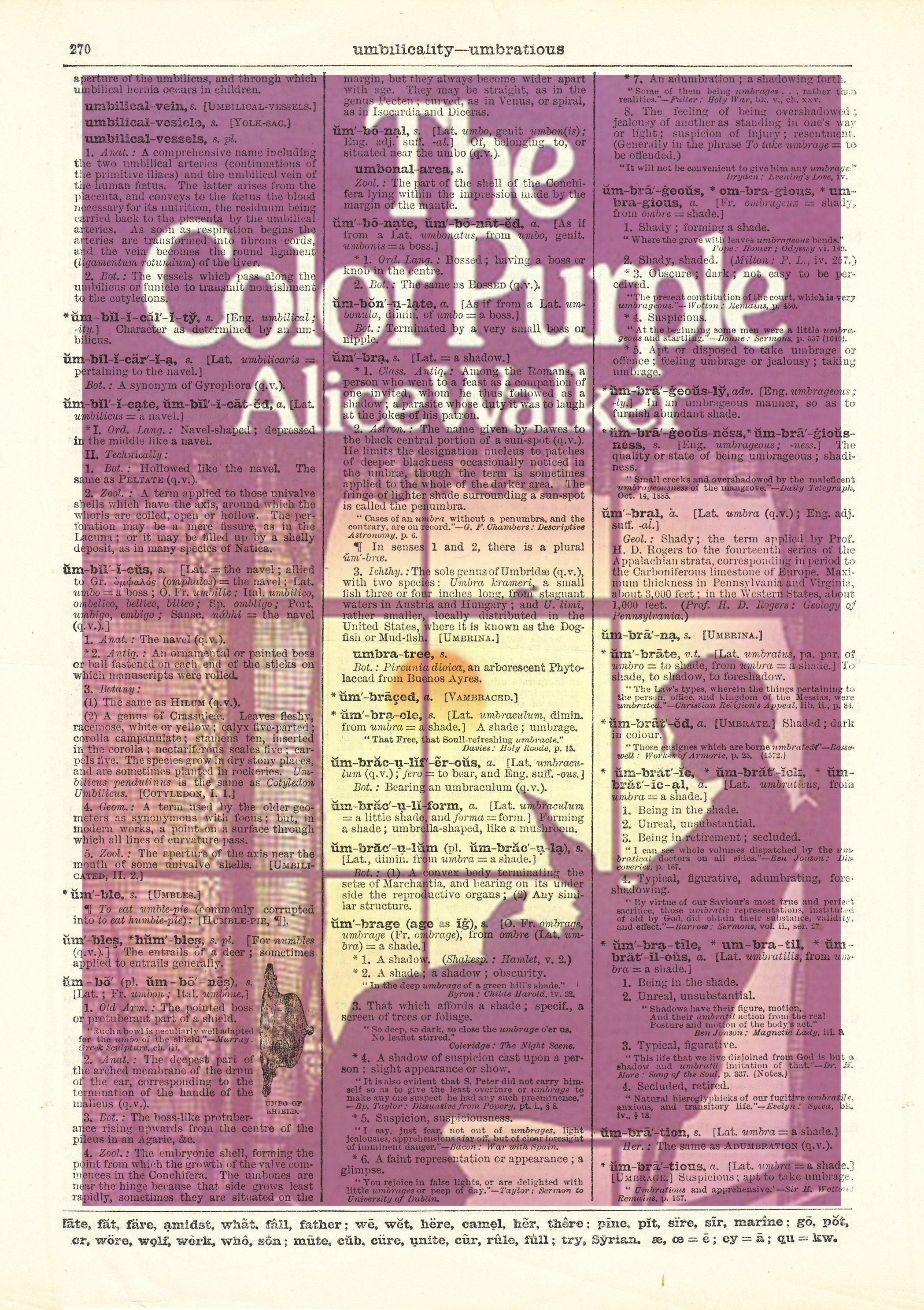 The Color Purple de Alice Walker. Impresión de arte de portada | Etsy