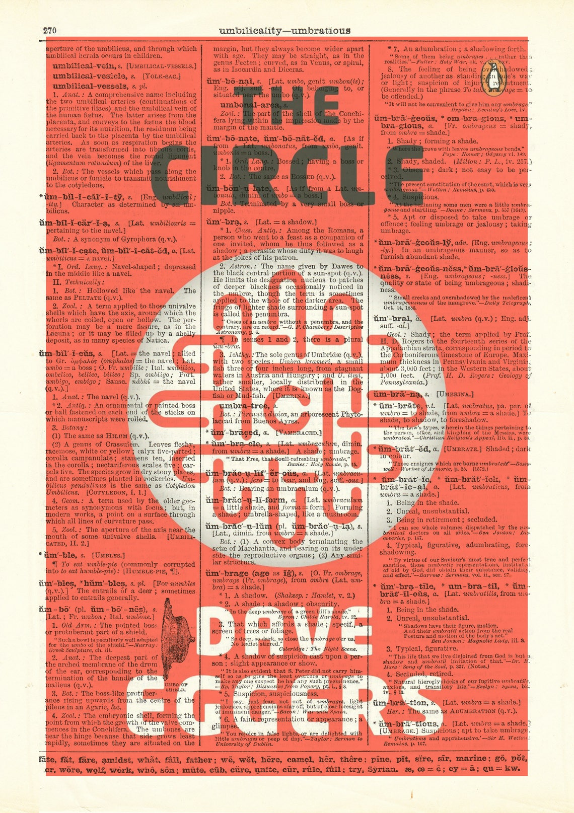 The Circle by Dave Eggers. Book Cover Art Print - Etsy