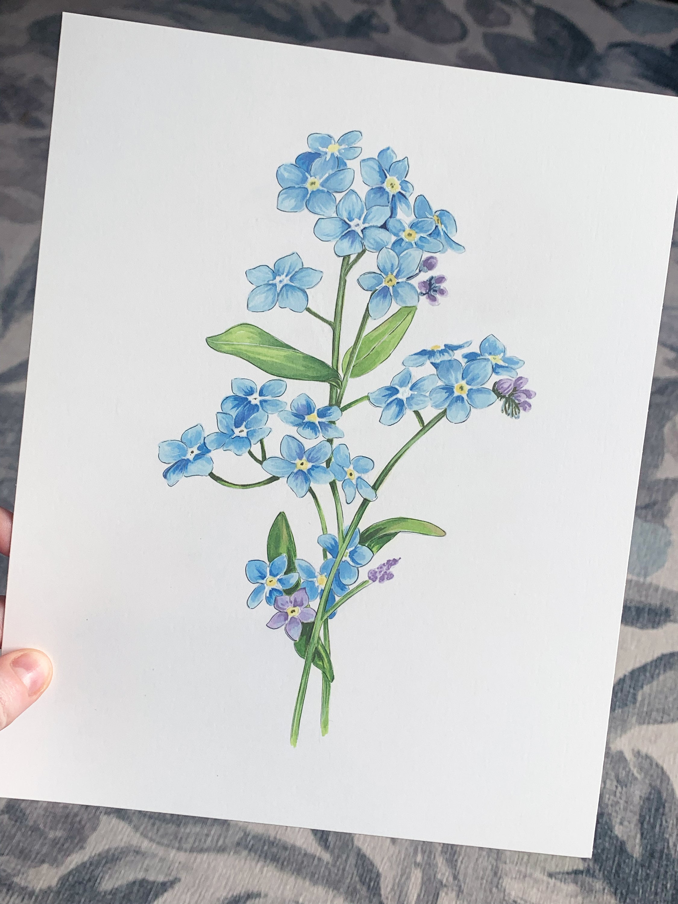 Forget Me Nots Drawing