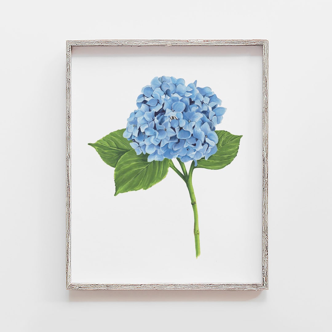 Blue Hydrangea Floral Art Print | Hydrangea Wall Art | Hydrangea ...