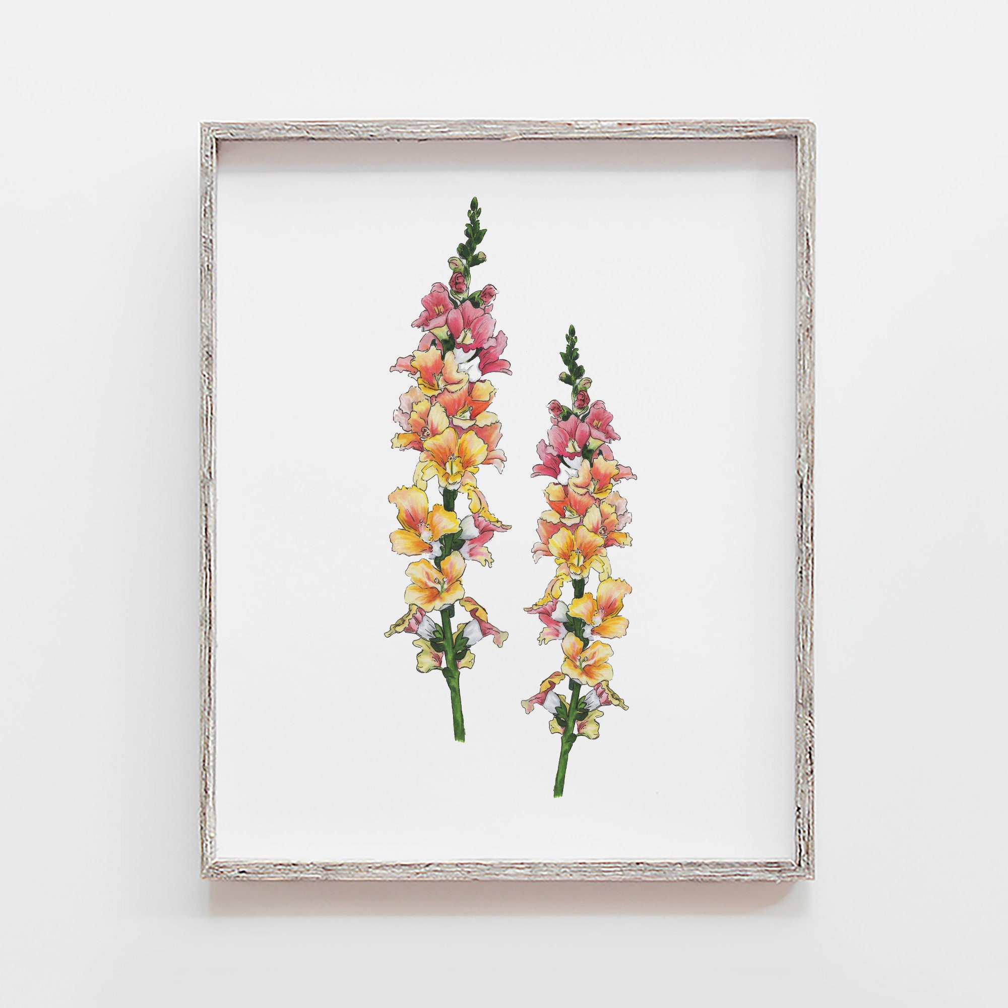 Snapdragon Flower Painting