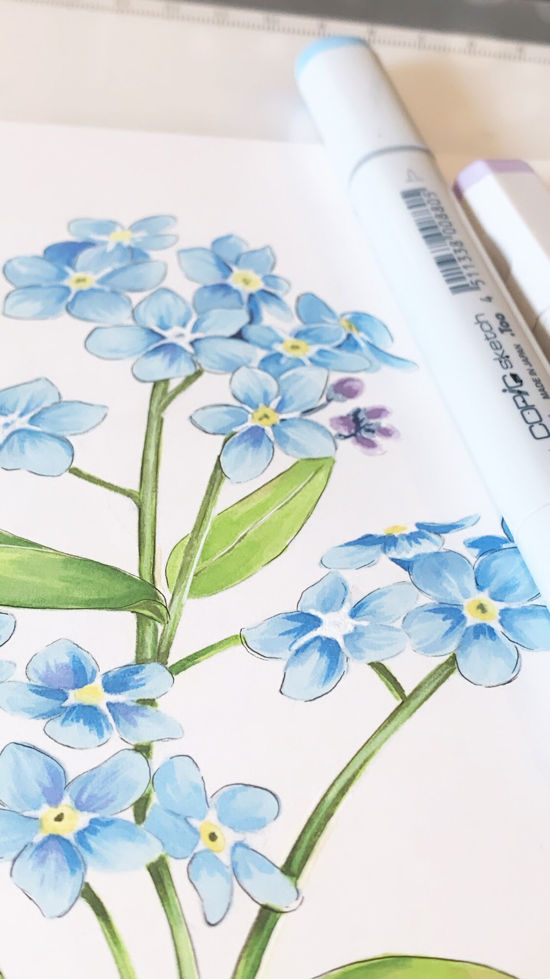 Forget Me Not Flower Drawing