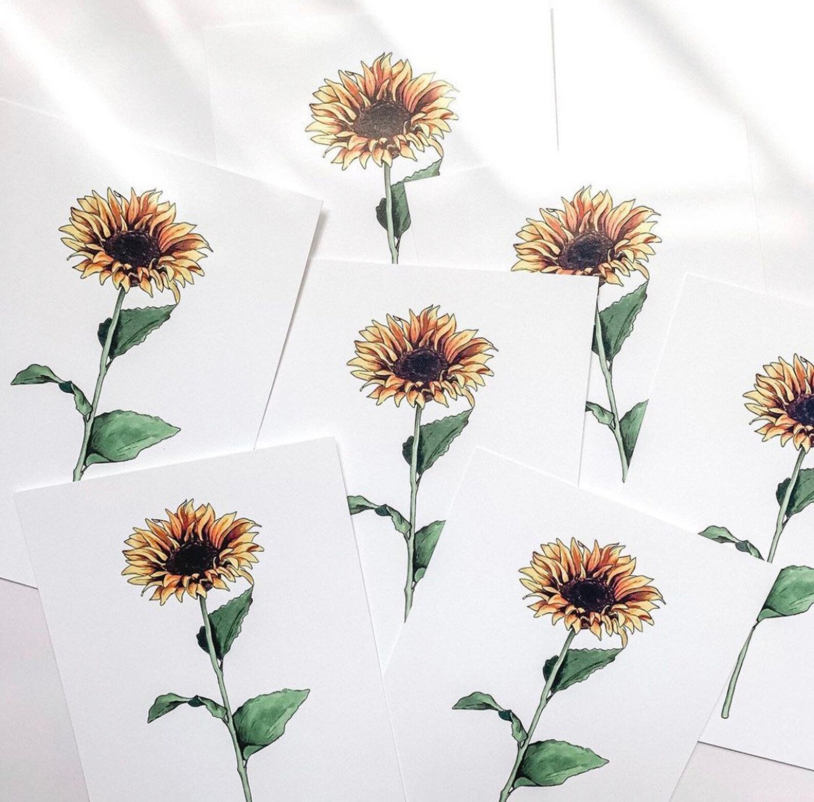 Sunflower Art Print: Botanical Marker Drawing, Yellow Floral Wall Decor ...