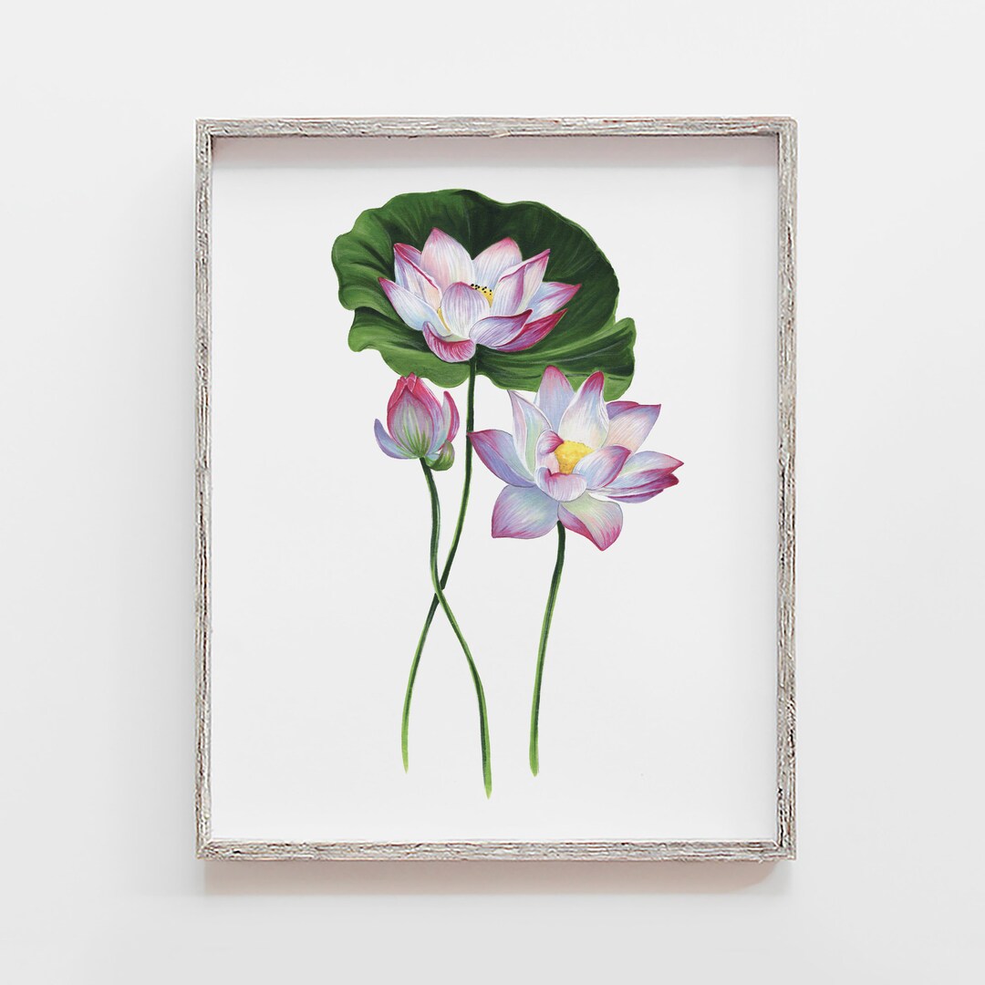 Lotus Flower Print | Marker Drawing Lotus Lily Pad Botanical ...