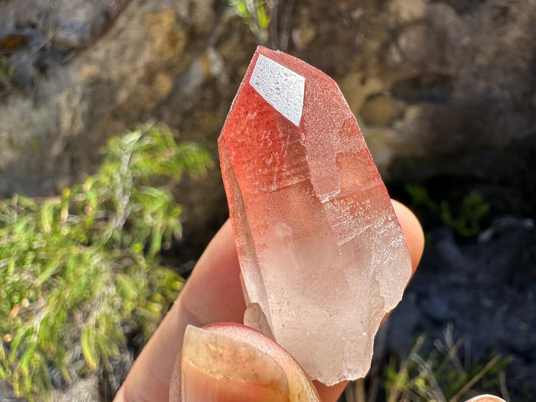 Scarlet Temple Lemurian From Brazil Pink Red Rose Lemurian, Astonishing ...