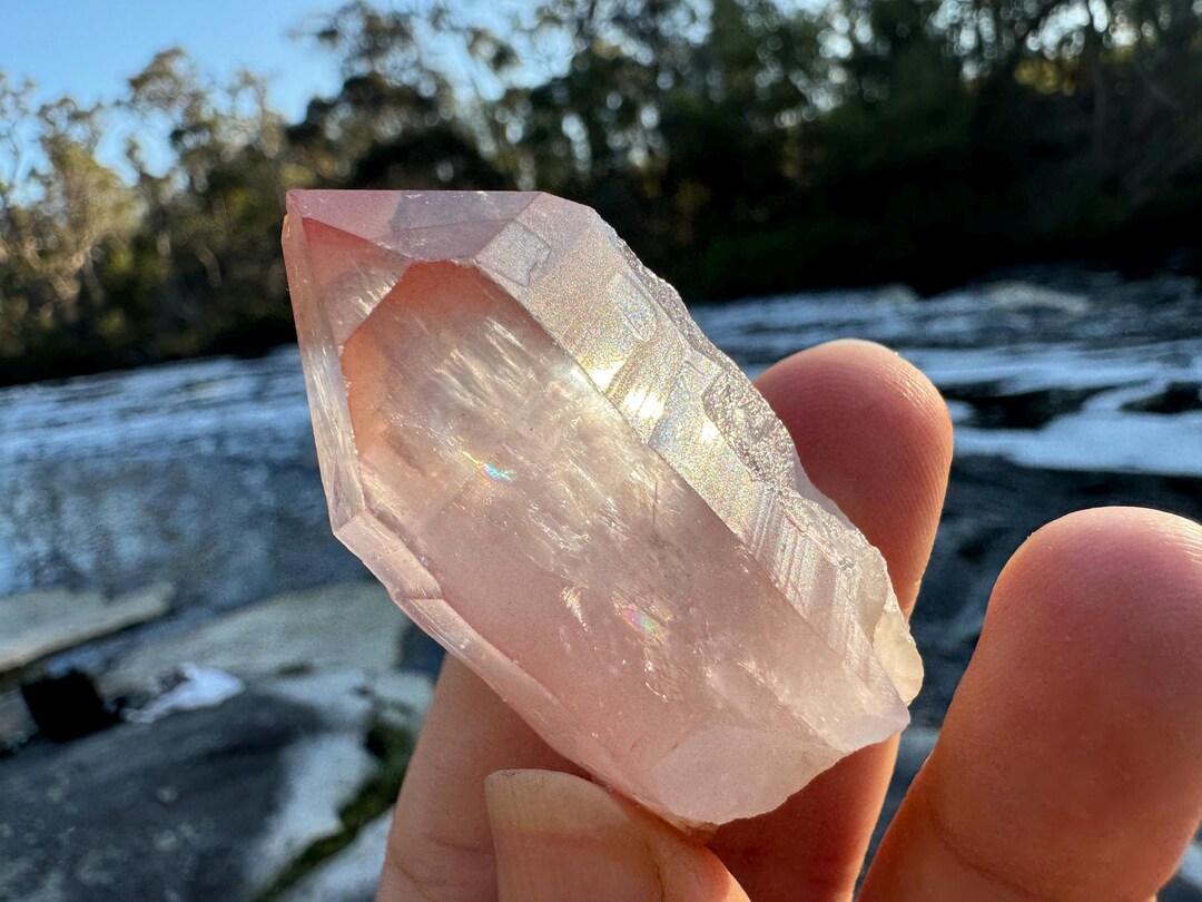 Scarlet Temple Lemurian, Dow/transmitter Pink Red Rose Lemurian ...