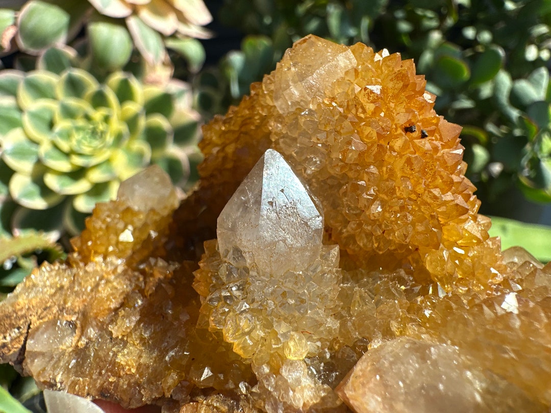 Very Rare Sunshine Spirit Quartz With Golden Healer Iron - Etsy UK