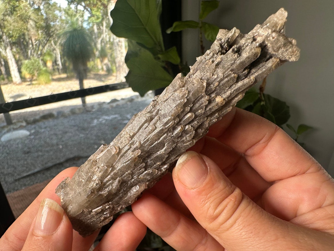 Malawi Dragon Smoky Quartz Crystal With Parallel Growth Dragonscale ...