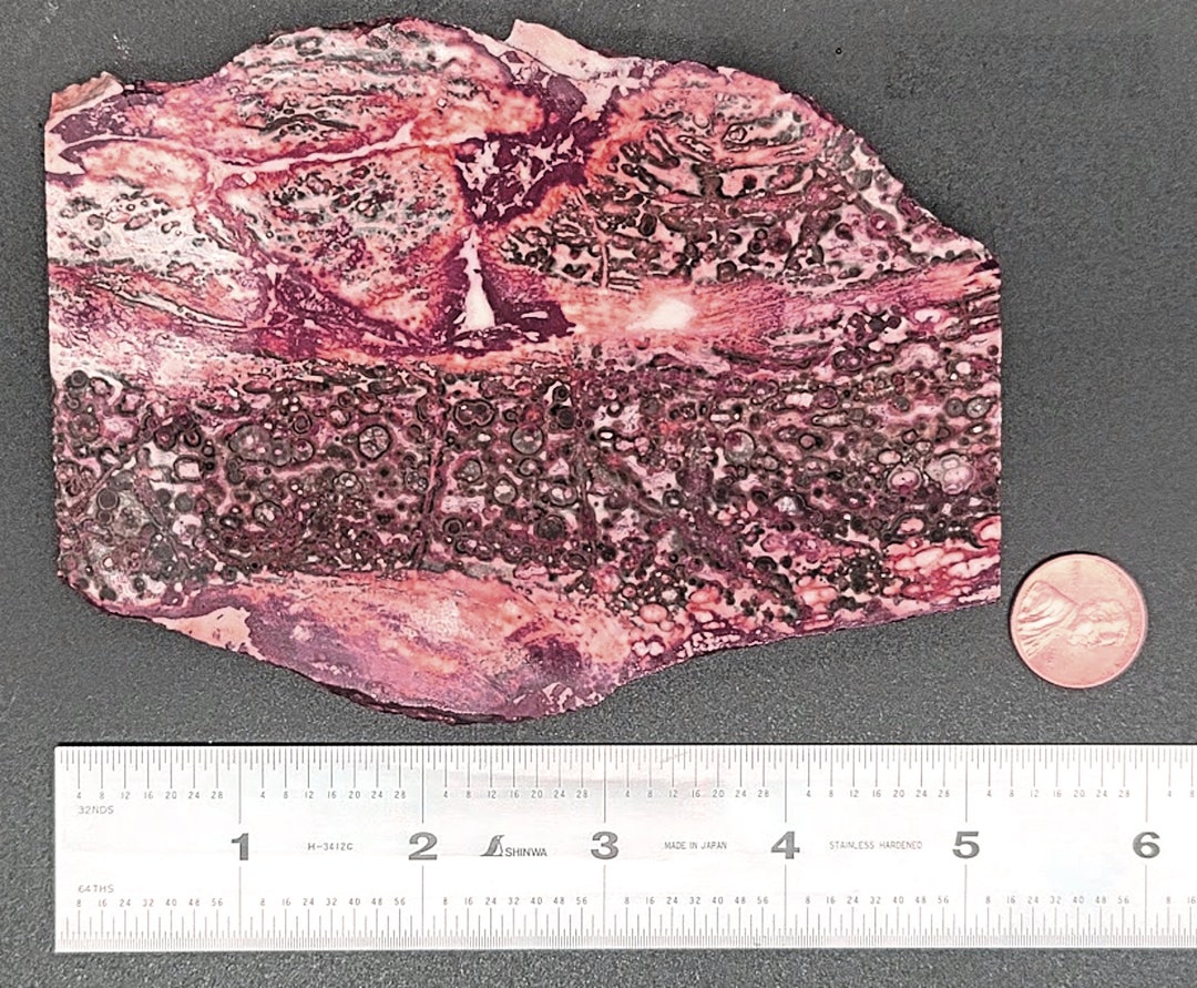 Leopard Skin Jasper Rock Slab - Etsy