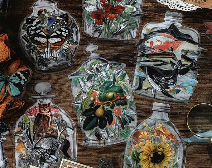 Nature in Jar Stickers, Clear, Forest Animals, Fruit Trees, Flowers ...