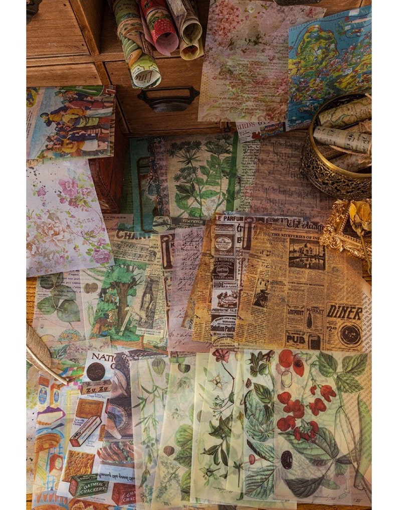 Parchment Paper Sets: Plant Letter Map Leaf Flowers - Etsy