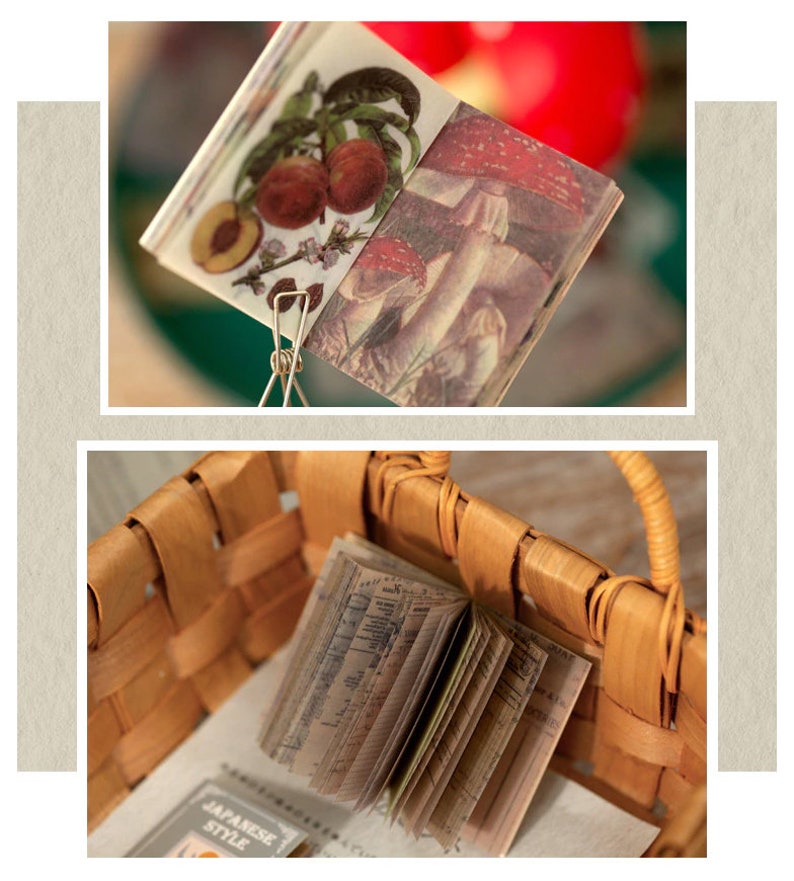 Mini Paper Books Parchment Sheets Astrology Botanical - Etsy