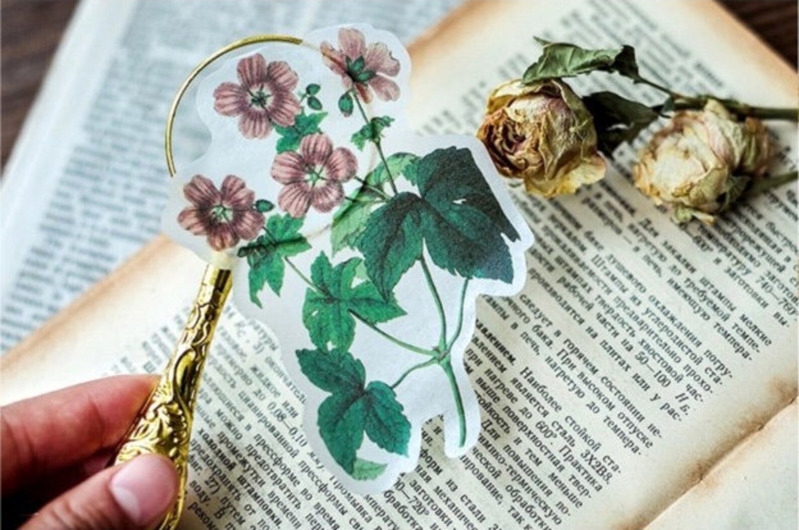 60 Stickers Flower & Leaf Frosted Color Leaves Pressed | Etsy