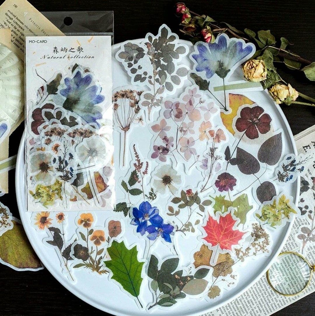 60 Stickers Flower & Leaf Frosted Color Leaves Pressed - Etsy