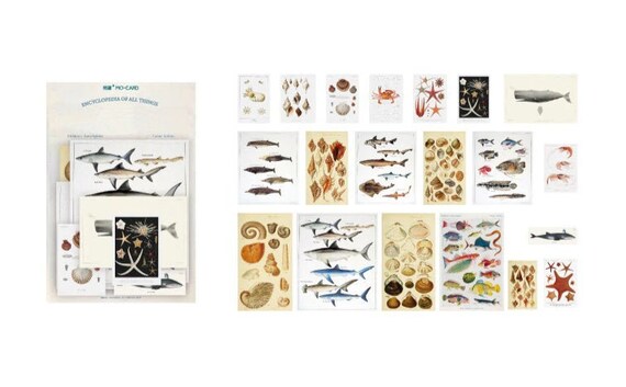Encyclopedia of Sea Life Stickers 60 Large Fish Sharks | Etsy