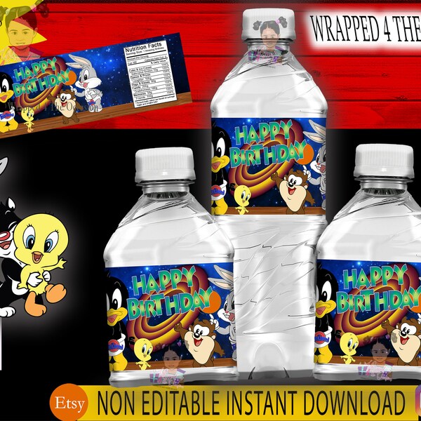 Space Jam Water Bottle for Kids - Etsy