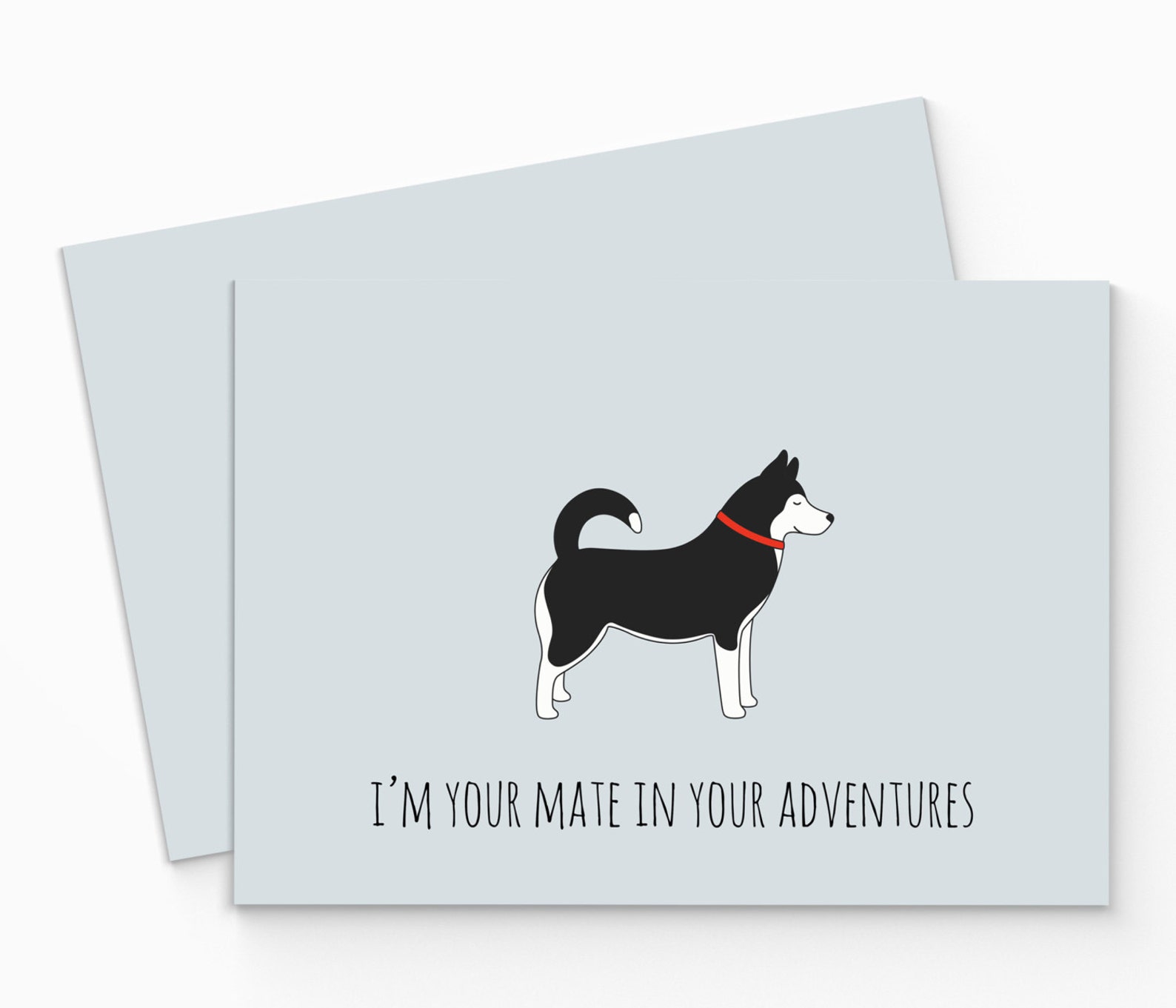 Printable Husky Card. Digital Husky Card. Blank Card Friend. - Etsy
