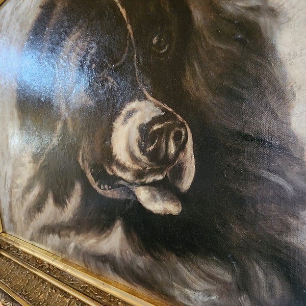 Antique Newfoundland Dog - Etsy