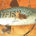 A+ One of A Kind Rare Large Unique Antique Folk Art Metal Catfish Hand ...