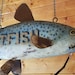 A+ One of A Kind Rare Large Unique Antique Folk Art Metal Catfish Hand ...