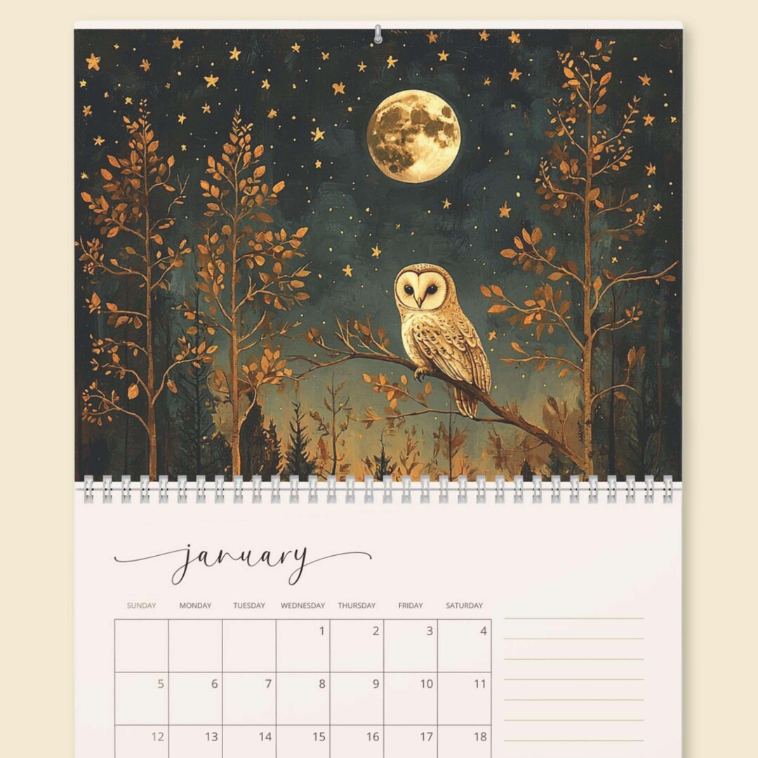 Owl 2025 Wall Calendar, Whimsical Forest Full Moon - Etsy