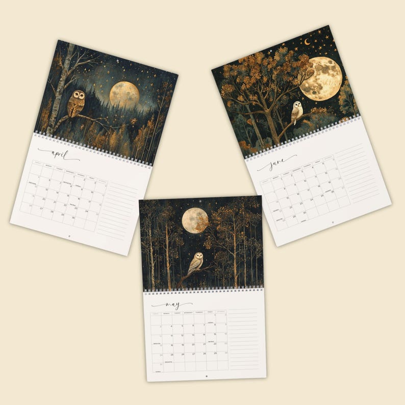 Owl Wall Calendar, 2026 Night Forest Full Moon and New Moon Dates - Etsy