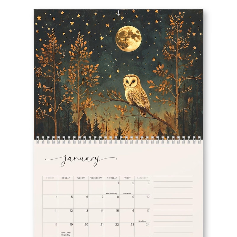 Owls 2026 Calendar - Etsy