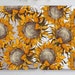 Sunflowers iPad Mini 5 Case Flowers iPad 6 iPad 11.4 Case iPad Air 3 ...