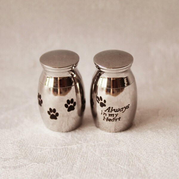 Pet Ashes - Etsy
