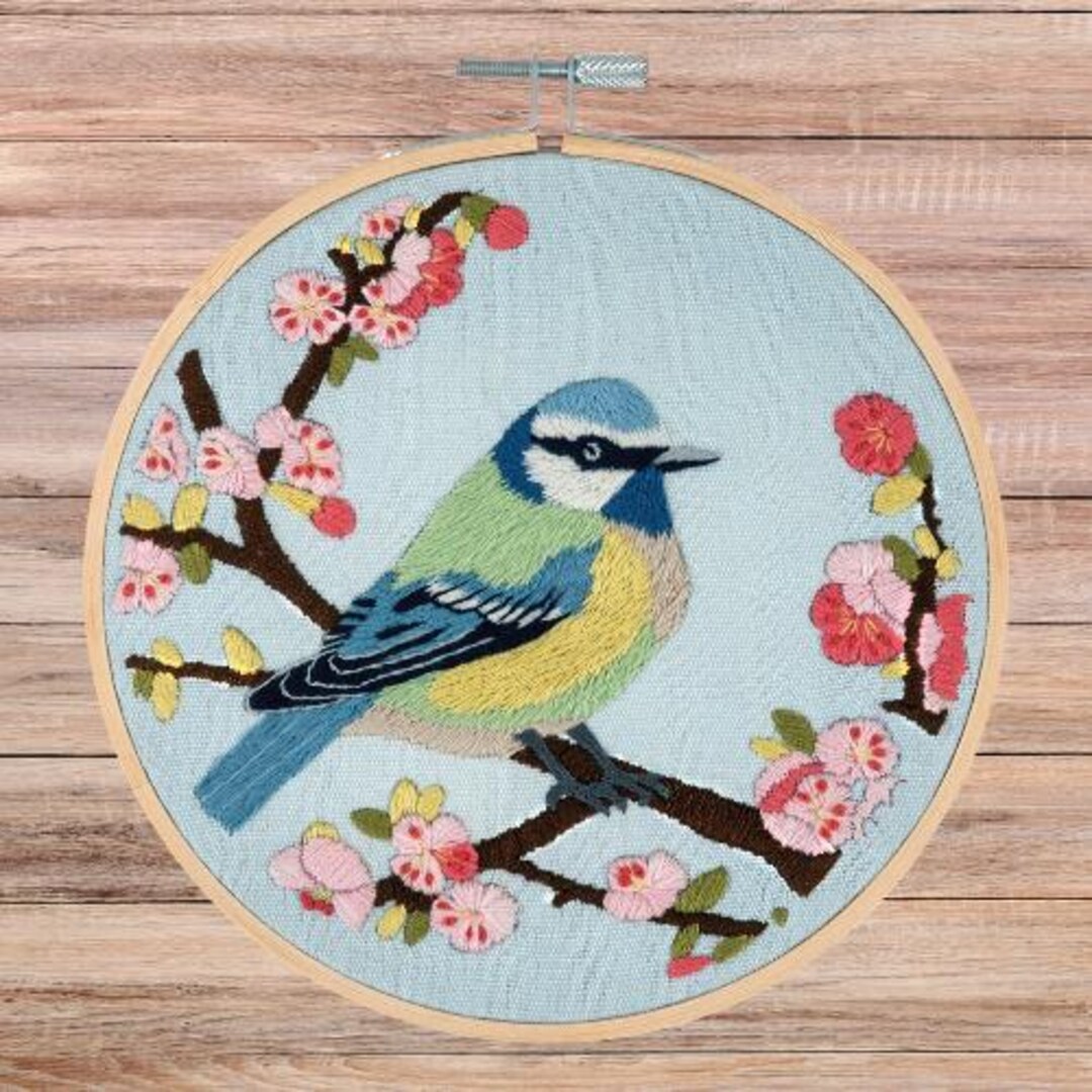 Bird Embroidery Kit. Bluebird Embroidery. Bluebird Lover Gift. Bird ...