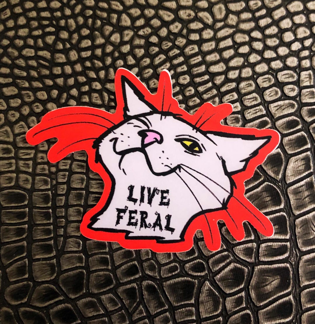 3 LIVE FERAL Cat Decal - Etsy