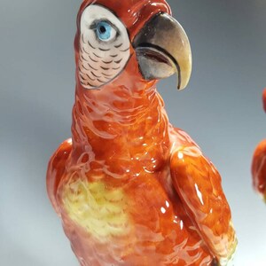 Pair of Vintage German Dresden Porcelain Red Macaw Parrot Figurines on ...