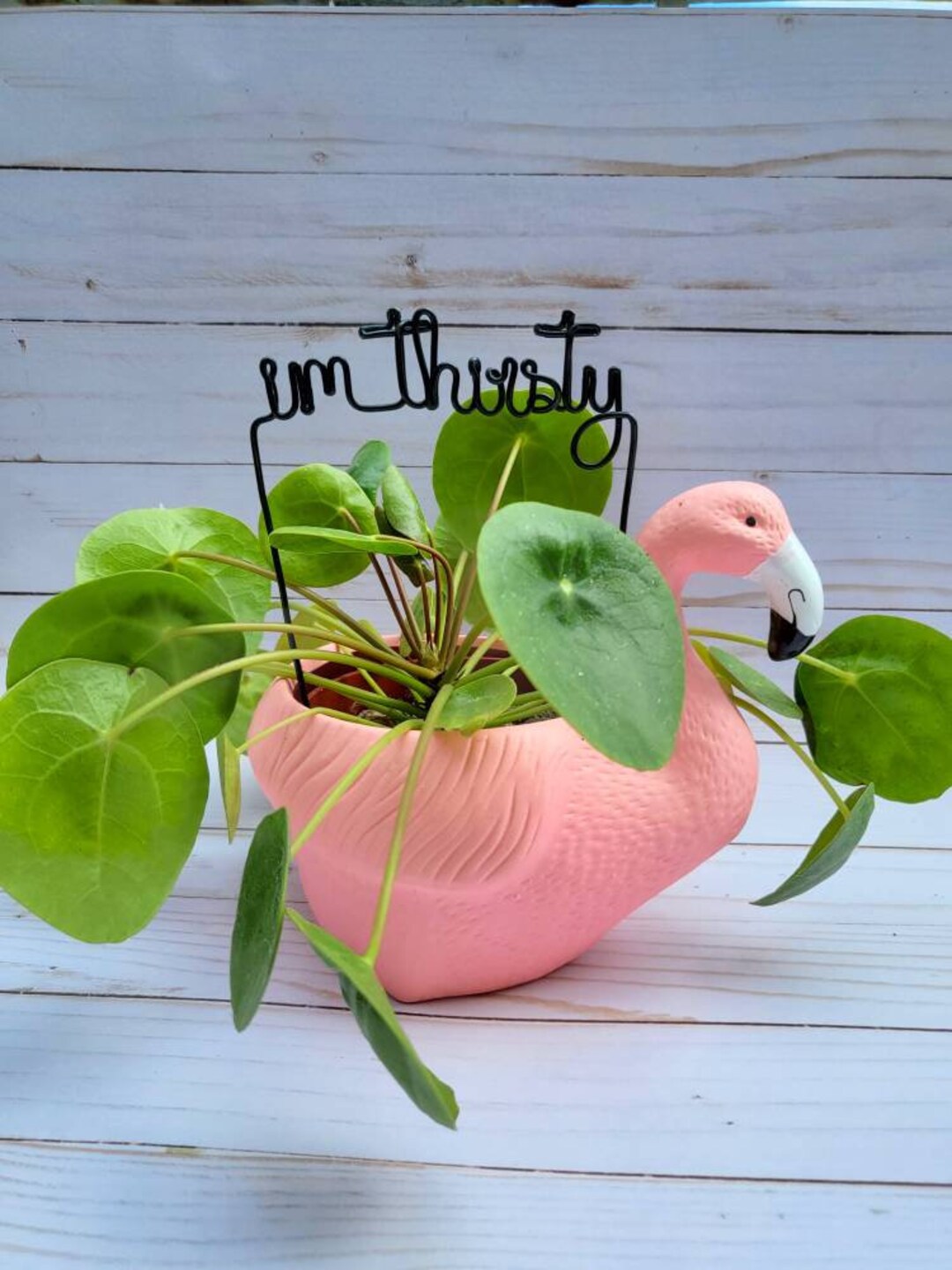 Houseplants Sign, Custom Garden Sign Metal, Gardener Decor Gifts, Plant ...