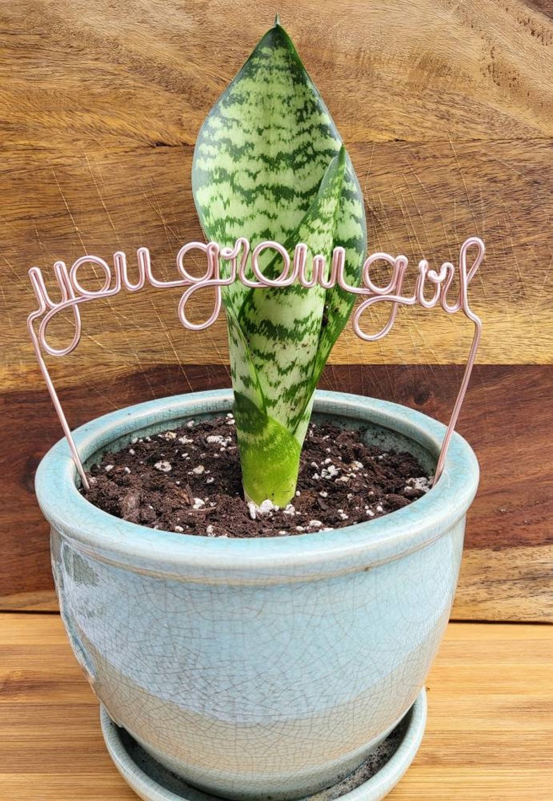 Houseplants Sign Custom Garden Sign Metal Gardener Decor | Etsy