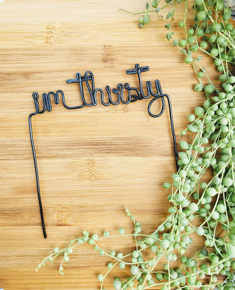 Houseplants Sign Custom Garden Sign Metal Gardener Decor | Etsy