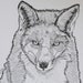 Original Fox Line Drawing, Black Pen Drawing, Fine Liners, Wall Decor ...