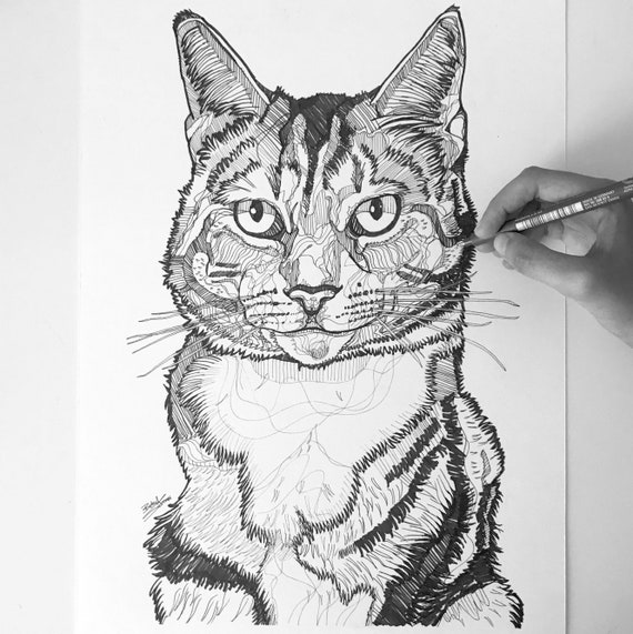 Custom Pet Line Drawing Pet Portrait Commission Drawing | Etsy UK