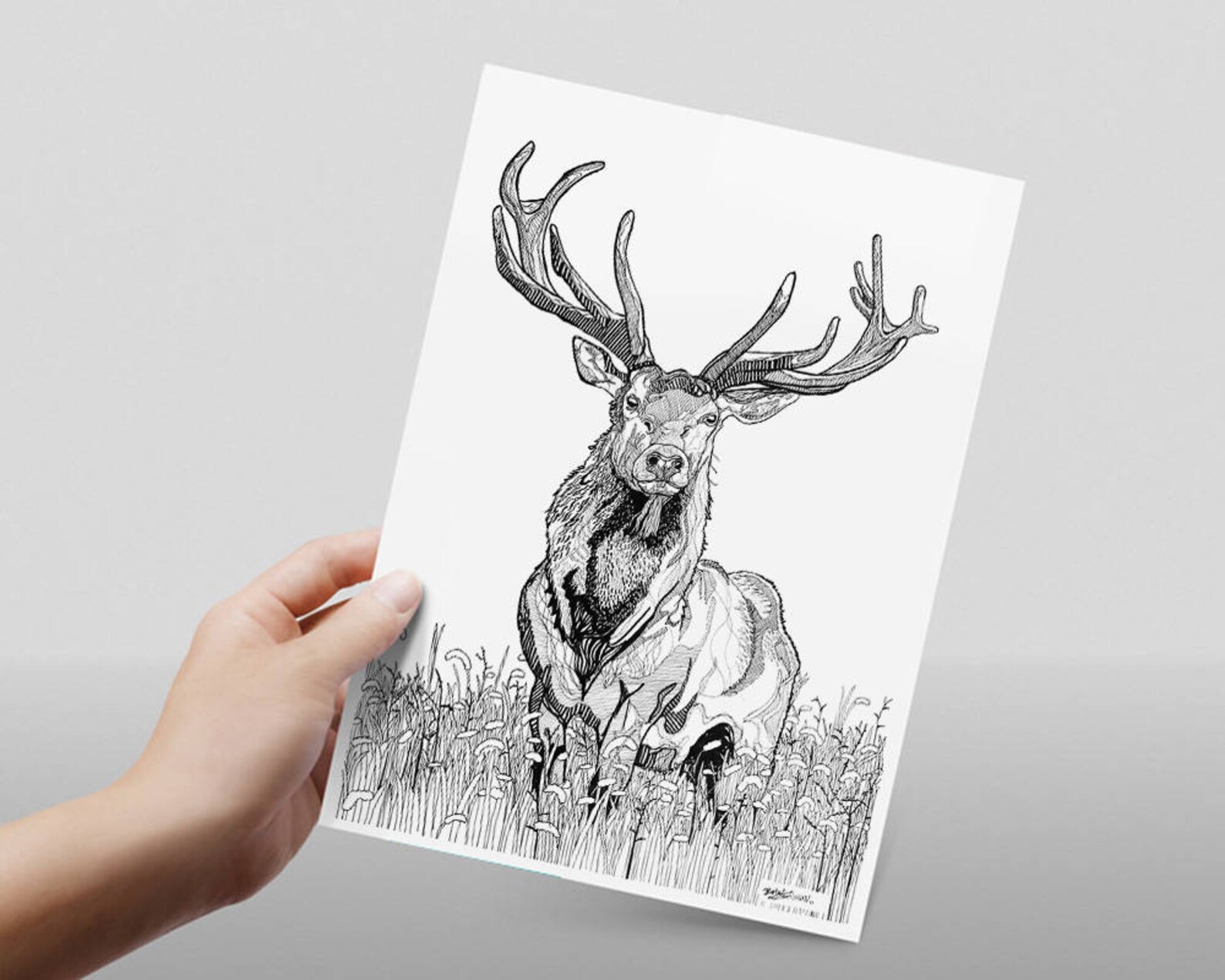 Deer Line Drawing Deer Print Black and White Fine Liners - Etsy UK
