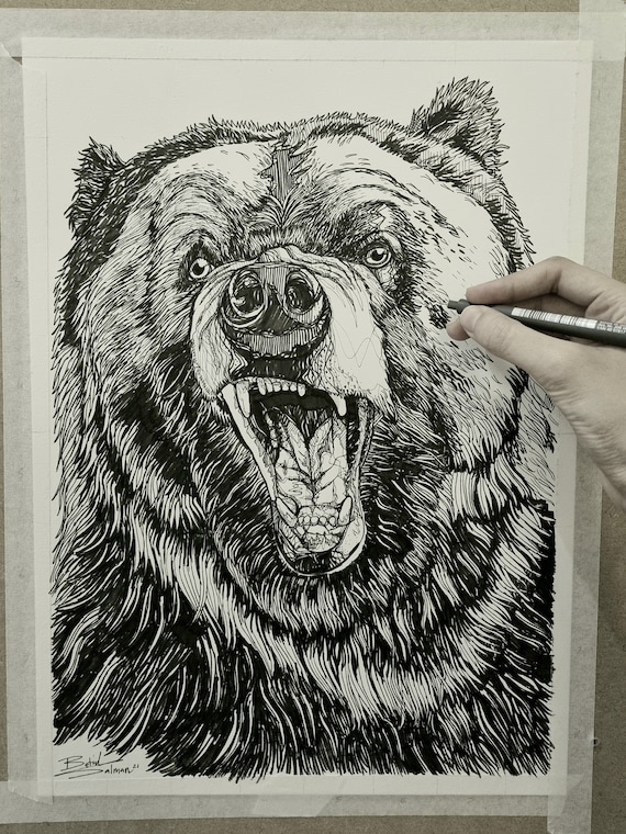Dibujo De Oso Pardo Oso Pardo Cueva Imagen Gratis En Pixabay
